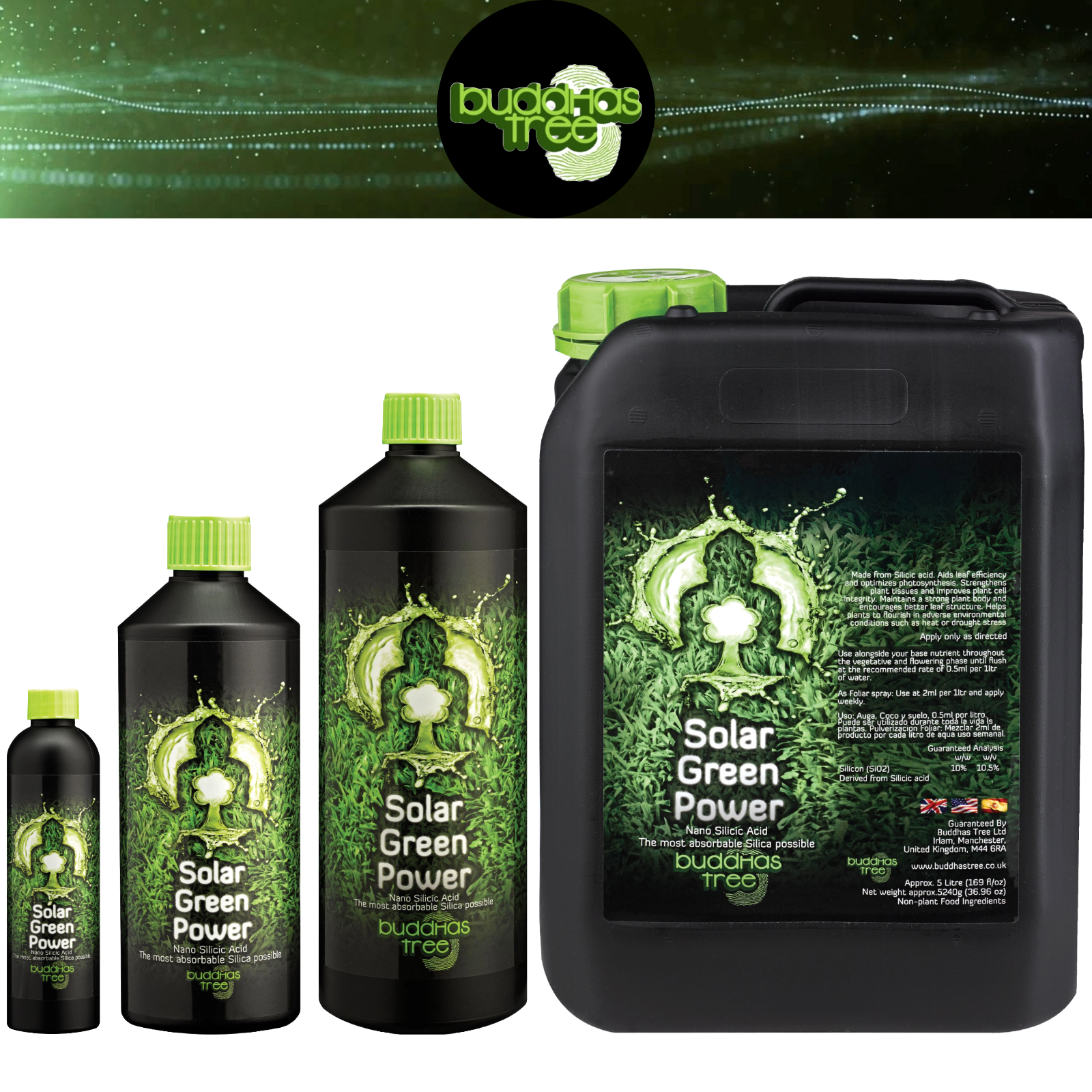 Buddhas Tree Solar Green Power - Plant Enhancer for Photosynthesis ...