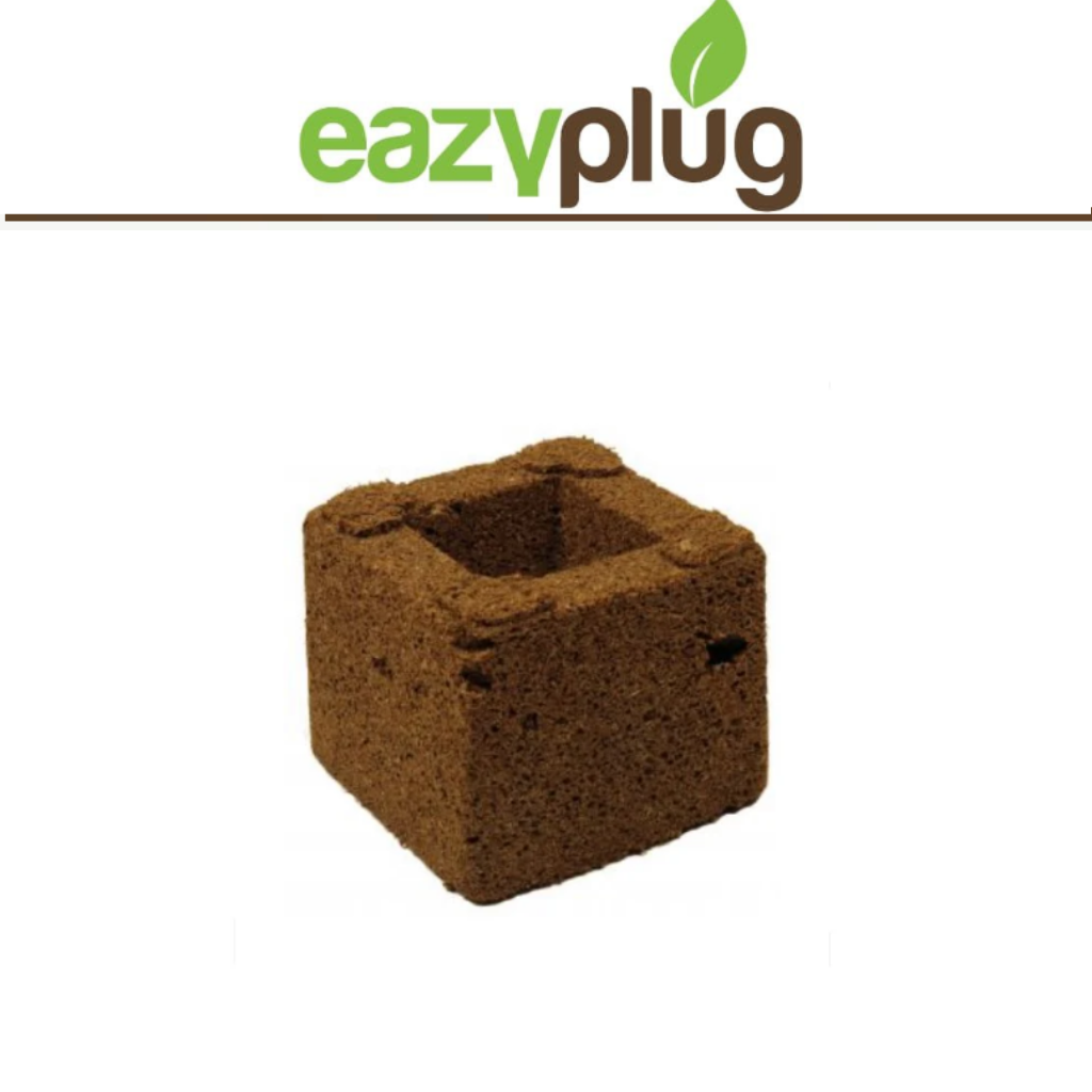 Eazy Block - 75mm x 75mm x 65mm (Organic Dry) – Senua Hydroponics