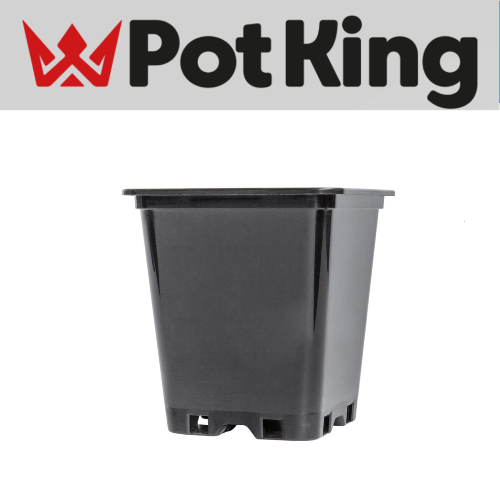 PotKing Black Square Pots - Durable, Space-Saving Grow Pots – Senua ...
